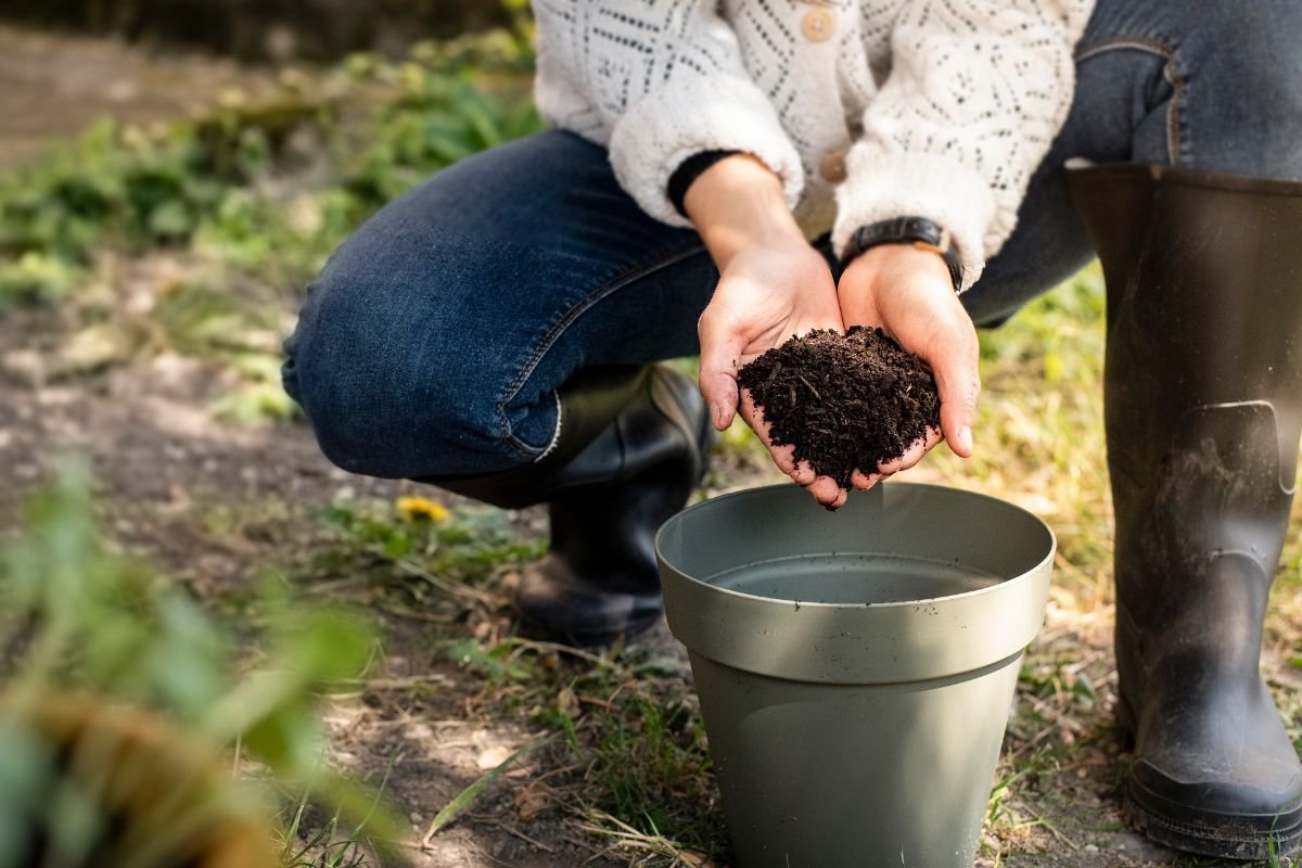 Best Compost for Vegetables: Complete Guide - Lushy Gardens