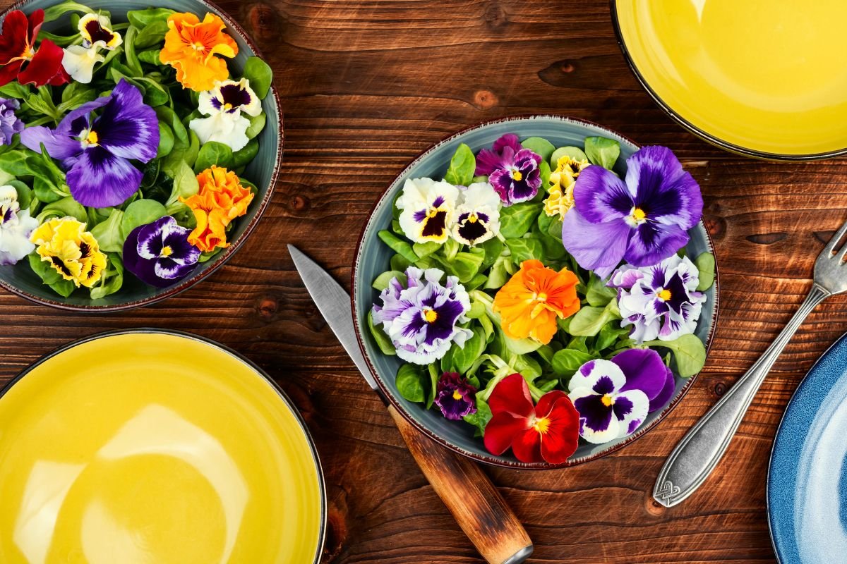 Edible Flowers: Straight from the Garden to the Culinary Art on Your ...